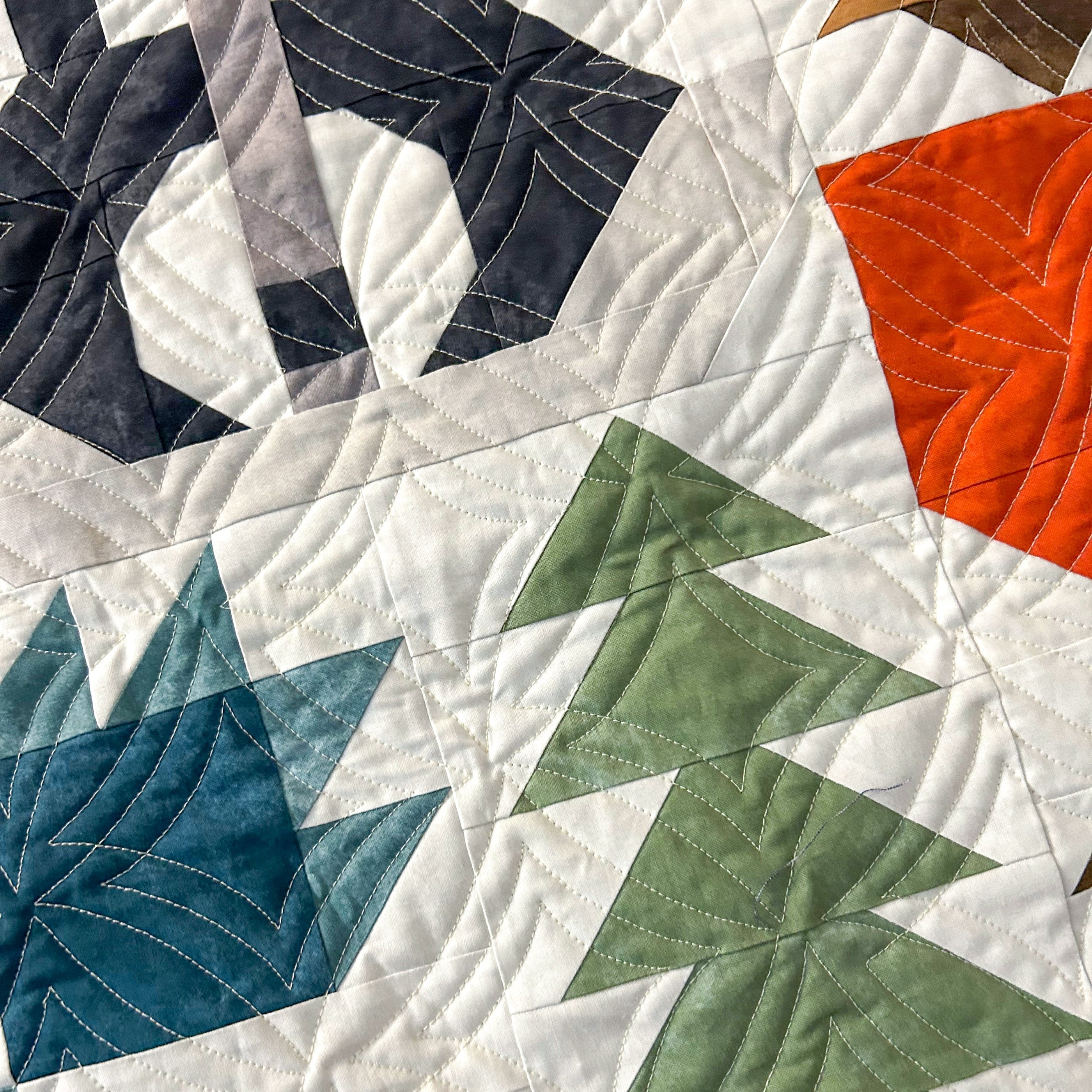 Pacific Northwest Life Quilt Kit - COMPLETE KIT - RebsFabStash Exclusi