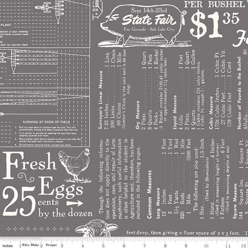 Lori Holt Farm Sweet Farm Quilt Kit | RebsFabStash